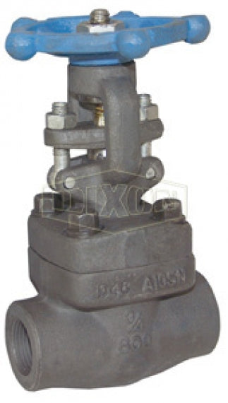 FSGV125 by Dixon Valve | Gate Valve | 1-1/4" Female NPT x 1-1/4" Femal ...
